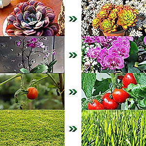 DWD 20-20-20 Liquid Fertilizer Indoor Plant Food All Purpose Plant Water Soluble Fertilizer Potted Liquid Plant Food Outdoor Garden Trees Flowers Fertilizer for Rooting Blossom 0.5Qt