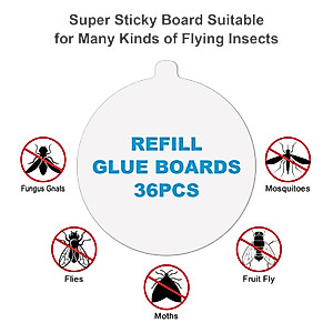 Lousye 4.3-inch Katchy Replacement Rubber Plate, Indoor Rubber Plate Filled with Sticky Card Suitable for Indoor Insect, Fly, and Mosquito Trap, Insect Trap, and Mosquito Lamp