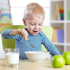 Lehoo Castle Toddler Utensils Set, 6PCS Toddler Silverware Spoon and Fork Knife Set, Children's Flatware Set (Animal Kingdom)