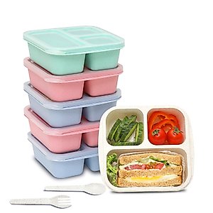 DESLON Kids Bento Box 6 Pack, 3 Compartment Snack Containers, Meal Prep Containers Reusable Lunch Containers for Kids Toddler Adults, Small Bento Snack Box for School, Work and Travel