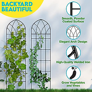 Gray Bunny Garden Trellis for Climbing Plants Outdoor - 2 Pack - 58" x 16" Cucumber Trellis, Rust Proof Metal Trellis for Tomatoes, Vines, Flower Beds, Roses