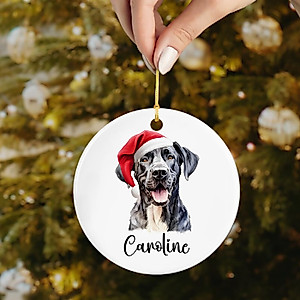 Funny Great Dane Ceramic Ornament Christmas 2025, Personalized Name Great Dane Dog Lover Ornament Xmas Tree, Custom Great Dane Christmas Ornament Gift for Dog Dad Dog Mom, Great Dane Ceramic Ornament