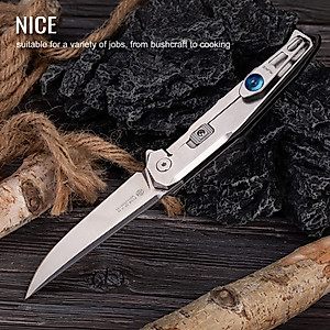 Tactical Folding Pocket Knife for men,14C28N Stainless Steel Blade,Frame Lock,G10 Handle,EDC Small Camping Knives Belt Clip Carry,Lightweight Survival Hunting Flipper Microtech Elemental Bushcraft Hiking Sharp Gear Tool Father Dad Gifts Ruike p108