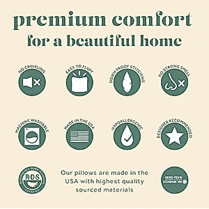 14x22 Decorative Throw Pillow Insert, Down and Feathers Fill, 100% Cotton Cover 233 Thread Count, Rectangle Pillow Insert - Made in USA (Single)