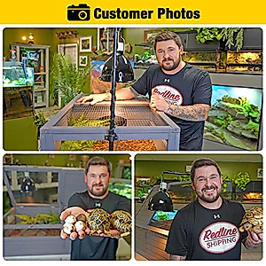 Aivituvin Wooden Tortoise House Large Tortoise Habitat Cage, Indoor Tortoises Enclosure for Small Animals, Outdoor Reptile Cage - Upgraded Weatherproof Bottom