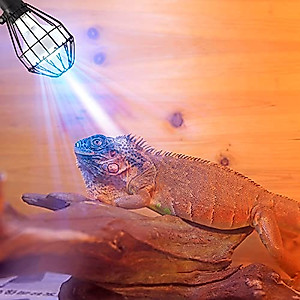 2 Pcs Heat Lamp Stand Flexible Clamp Lamp Fixture Adjustable Heating Reptile Lamp Stand 360 Degree Reptile Light Lamp Holder with Clip for Aquarium, Aquatic, Chicken, Bulb Not Included