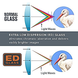 Celestron – Regal ED 8x42 Binocular – ED Binoculars for Birding, Hunting and Outdoor Actvities – Phase and Dielectric Coated BaK–4 Prisms – Fully Multi-Coated Optics – 6.5 Feet Close Focus