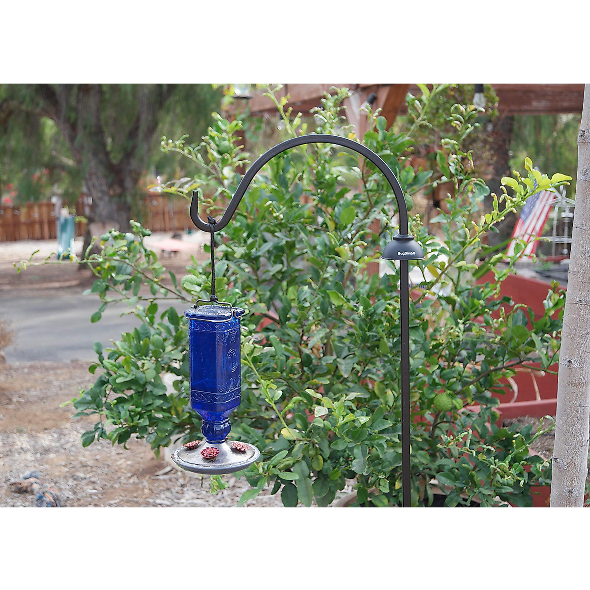 BugSnub Shepherd's Hook Ant Guard (1-Pack) - Hummingbird Moat Free Crawling Insect Protection