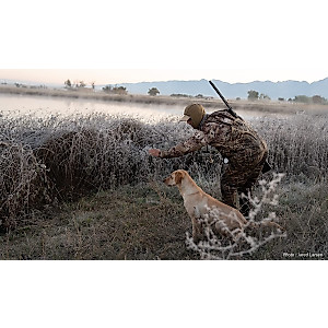 HUNTARMOR Duck Dummy Bumper Toy: Bird Training Dummy for Training Hunting Dogs, Mimics Dead Duck Bumper Toy for Waterfowl Hunting Retriever Dog Training, Dog Bumper Hunting Dog Accessories