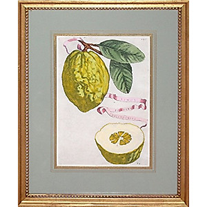 Plate 297: Limon Ponzinv Chalcedonivs