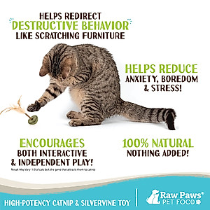 Raw Paws Silvervine Lollipop Toys, 3 ct - Cat Feather Toys for Indoor Cats - Interactive Cat Toys with Feathers - Cat Kicker Toy - Catnip Toys for Cats