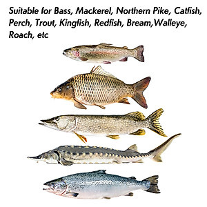 Dr.Fish Fishing Jigs Jigging Spoon Saltwater Fishing Lure Casting Metal Spoon Surf Fishing Mackerel Striper Lures Stinger Bluefish Vertical Diamond Jig Silver 1oz