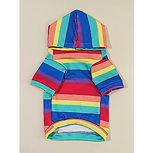 QWINEE Rainbow Colorful Dog Hoodie Sweatshirt Dog Shirt Cat Clothes for Puppy Kitten Small Dogs Multicolor X-Small