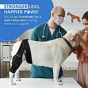 YSPet Premium Dog Knee Brace for Torn ACL/CCL - Universal ACL Knee Brace for All Four Legs - Adjustable Straps – Ideal Dog Leg Braces for Back Leg Support and Recovery.