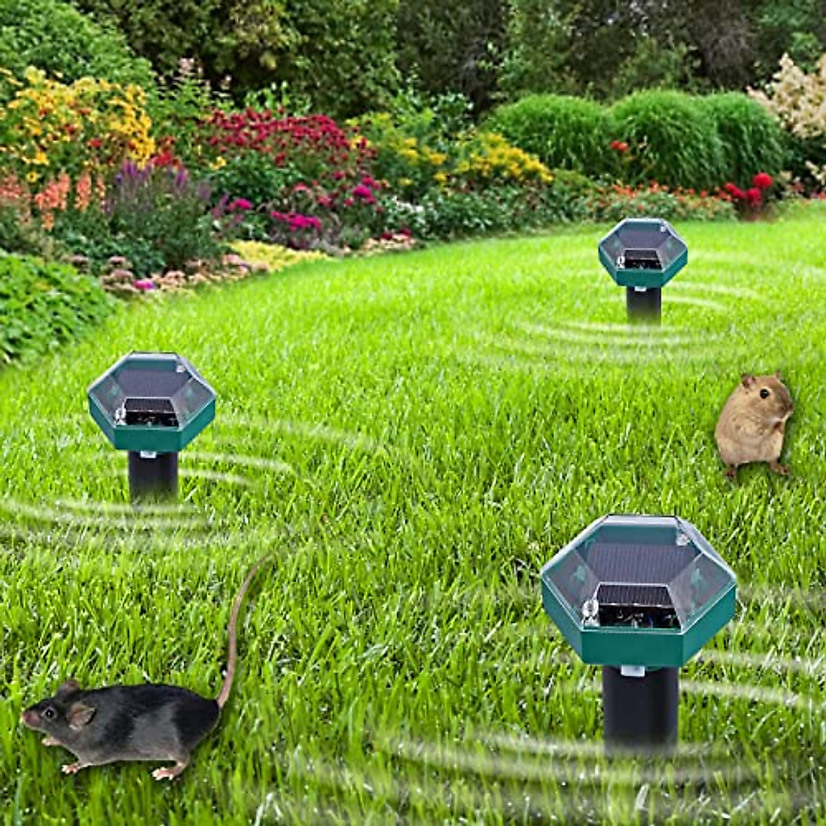 MorTime Solar Powered Mole Deterrent Spikes Outdoor Ultrasonic Groundhog Gopher Vole Deterrent for Lawn Garden Yard (4pc Hexagon)