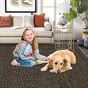 ROYHOME 9x12 Area Rug Large Machine Washable Rug for Living Room Print Braided Accent Rug Stain Resistant Non-Slip Carpet Rug Farmhouse Solid Printed Textured Floor Cover for Home Decor, Brown