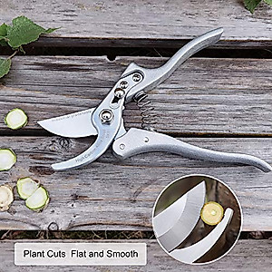 TONMA [Made in Japan] Pruning Shears 8 Inch Professional Bypass Garden Scissors Secateurs, Premium Quality Japanese Gardening Tools Plant Hand Pruner Garden Clippers with Ergonomic Handle