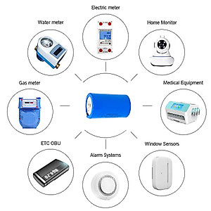 LNX 3.6V D Cell 19000mAh ER34615 Li-Socl2 Lithium Battery, 19 Ah D Size (1 pcs)