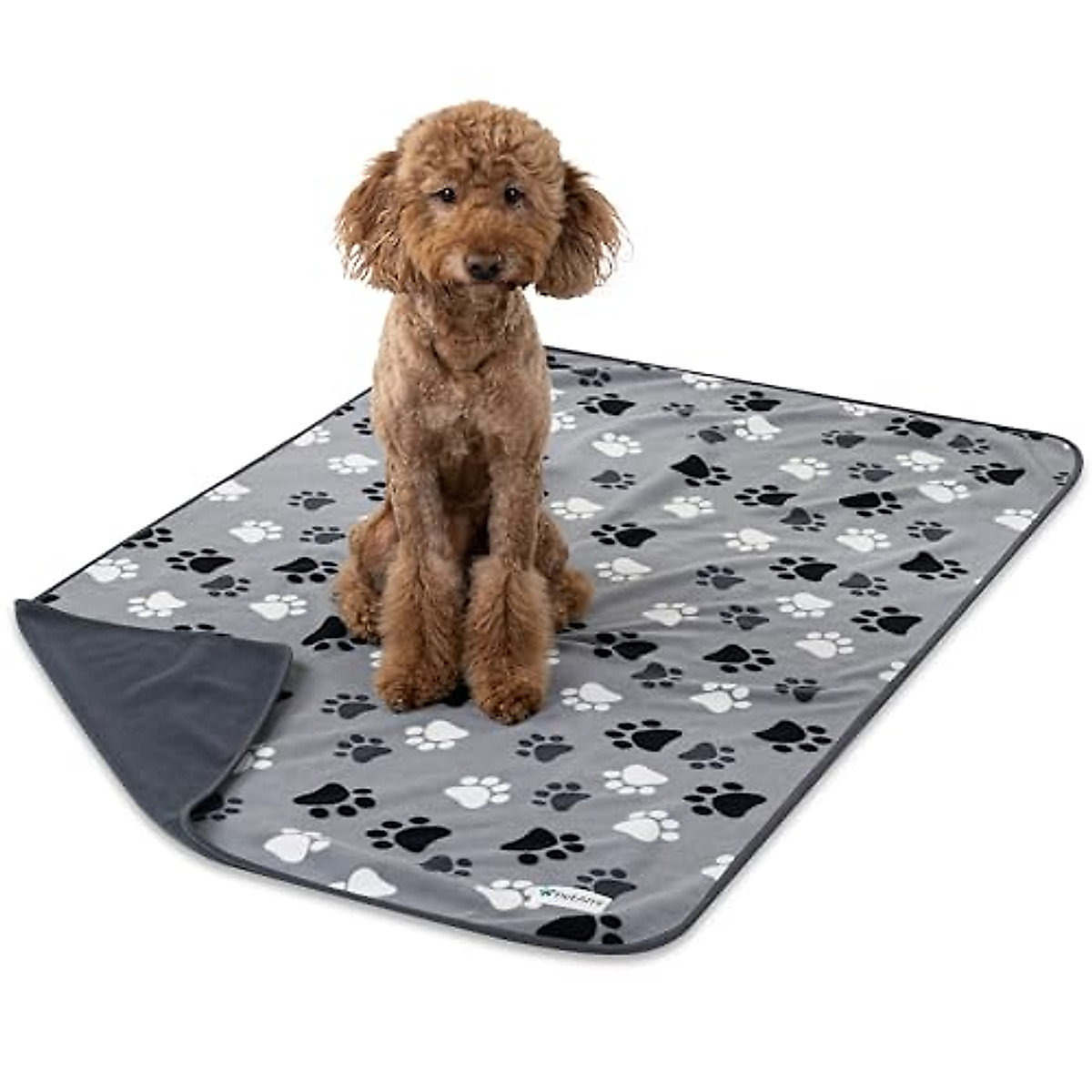 PetAmi Waterproof Dog Blanket for Extra Large Pets Dogs Cats, Large Pet Couch Cover Protector for Furniture, Reversible Washable Soft Fleece Cat Blanket for Bed Couch Sofa, 60x80 (Paw Print Gray)