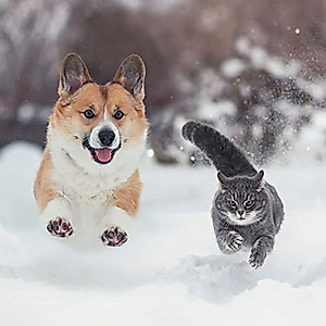 Safe Paw Pet Friendly Concrete Safe Powerful Salt Free Ice Melt for Driveways, Sidewalks, and Various Terrain, 22 Pound Flexicube (4 Pack)