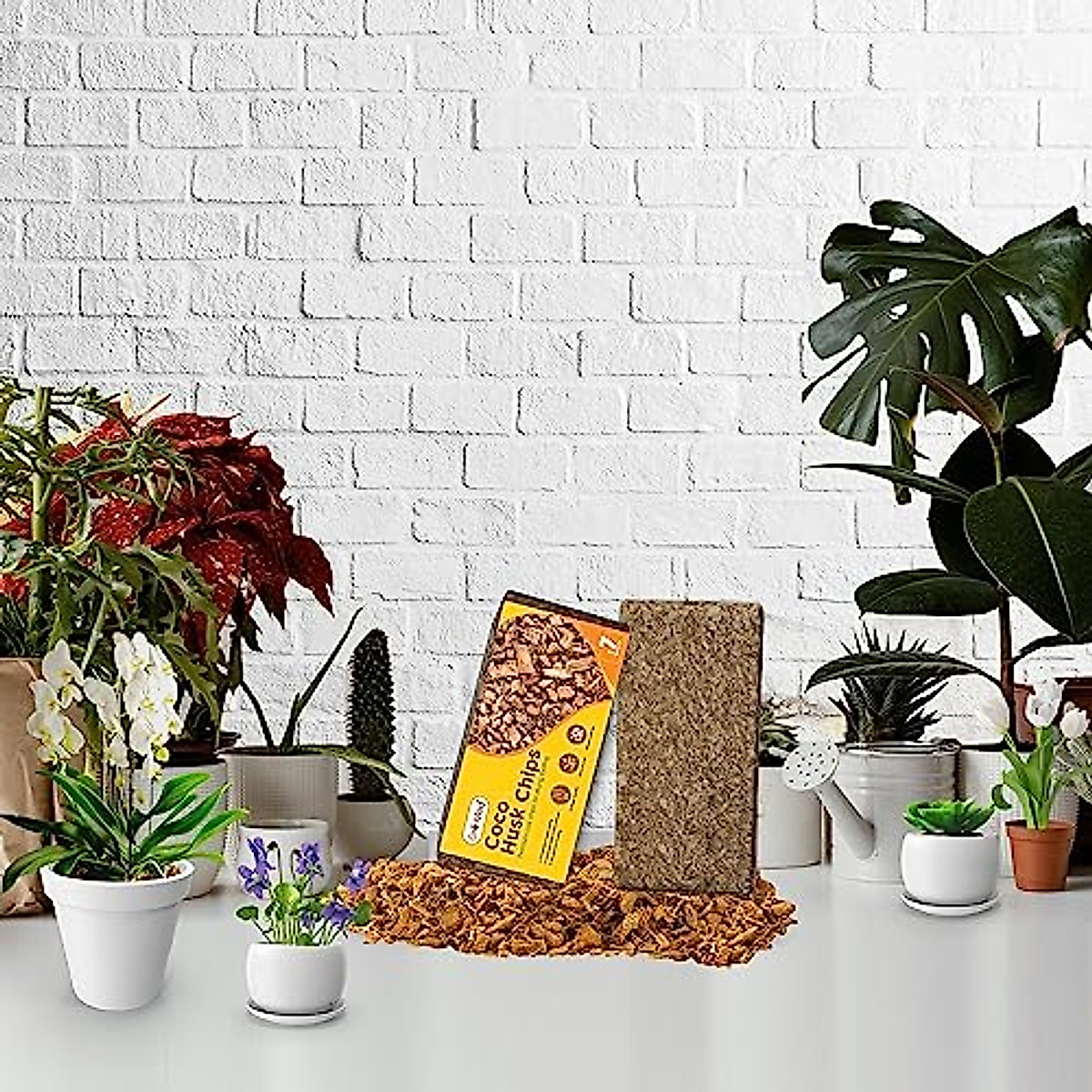 Gro-Med Coco Chips Brick - Ideal for Indoor & Outdoor Plants