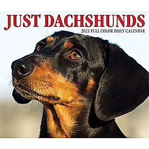 Just Dachshunds 2021 Box Calendar (Dog Breed Calendar)