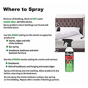 EcoBuggy Bed Bug Killer, 100% Plant-Based Natural Spray with HTR Technology, 16 Oz.