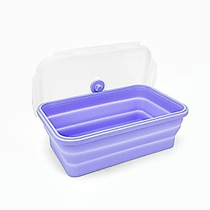 Lunbengo Purple Collapsible Sandwich Container, Silicone Lunch Container Bento Box with Plastic Lid, Microwave Safe, Camping Bowl For Meal Prep, Travel and Hiking, 40oz/1200ML