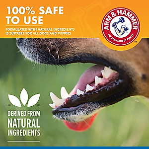 Arm & Hammer for Pets Combo Pack Dog Dental Tartar Control Water Additive and Fresh Breath Vanilla Ginger Enzymatic Toothpaste | Includes 16 Oz Dog Water Additive and 2.5 oz Dog Toothpaste