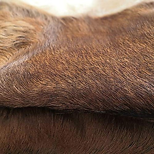 Red Deer Hide Rug Deer Skin Rug Deer Taxidermy Fireplace Deerskin Decor Reindeer Hide Area Rug Animals Mat Carpet for Home, Office, Bedroom Taxidermy Hunting Collectable 3.2x2.1ft