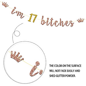I'm 17 Bitches Banner, 17th Birthday Party Decor, Funny Seventeen Years Old Birthday Banner, Girl's 17th Birthday Party Decorations (Rose Gold)
