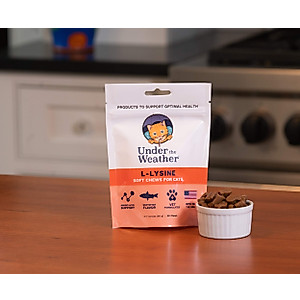 Under the Weather Pet Daily Cat L-Lysine | 60 Bite Size Soft Chews for Cats |Vet Formulated, All Natural, Amino Acid Support for Felines | Maintain Normal Immune System Response