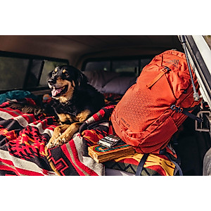 Gregory Mountain Products Nano 18 Everyday Outdoor Backpack, Calypso Teal, one Size