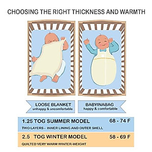 BABYINABAG Summer Model Baby Sleeping Bag and Sack, Plush Minky Dot, 1.25 Tog for Infants and Toddlers (Medium (10-24 mos))