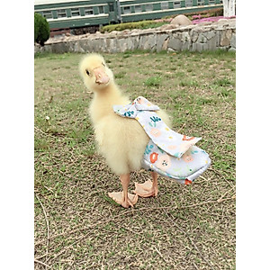 WCDJOMOP Duck Diapers, Chicken Diapers, Handmade Diapers for Poultry, Chicken, Duck and Goose Waterproof, Adjustable, Washable Reusable Diapers for Poultry, Duck Supplies (S(0.1kg-0.2kg),Floral)