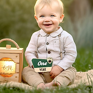 Huray Rayho 12 Pcs National Park Baby Monthly Photo Props Cards Rustic Wooden Baby Months Signs Adventure Theme Newborn Photography Props for Baby Shower Mountain Hiking Lovers Pregnancy Gift