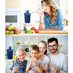 Elite Water Filter Lasting 6 Months-Efficient Long-Life Elite Filter, Replacement for Brita Pitcher Water Filter and Dispensers, Etc.,BPA FREE,1 Count