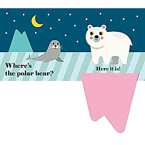 Where's the Polar Bear?