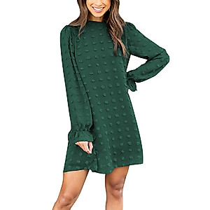 FAMITION Womens Dresses Long Sleeve: Casual Comfortable Green Dress Swiss Dot Wedding Gust Fall Flowy Chiffon Mini Dress for Women XL
