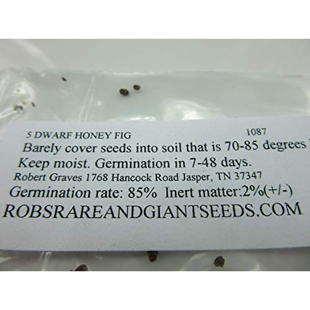 1087-Dwarf Honey Fig (Ficus carica) Seeds by Robsrareandgiantseeds UPC0764425786764 Non-GMO,Organic,Historic,Bonsai, 1087 Package of 5 Seeds