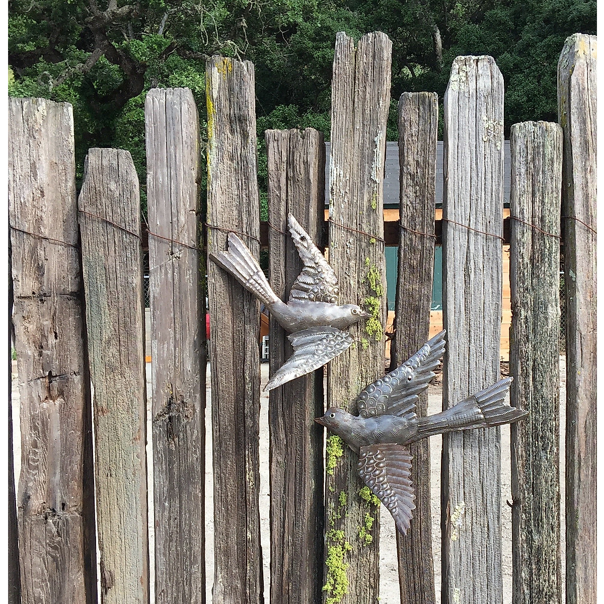 Set of 2 Garden Birds, Spring Home Accent Decor, 3D Wings, Metal Wall Hanging, Indoor Outdoor Display, Handmade 11 x 13 Inches
