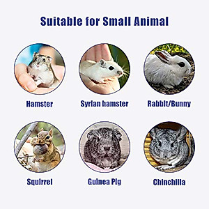 S-Mechanic 9Pcs Hamster Chew Toy Lava Square Stone Teeth Grinding Toys Mineral Stone Chew Toy for Hamsters, Chinchillas, Rabbits and Other Small Animals