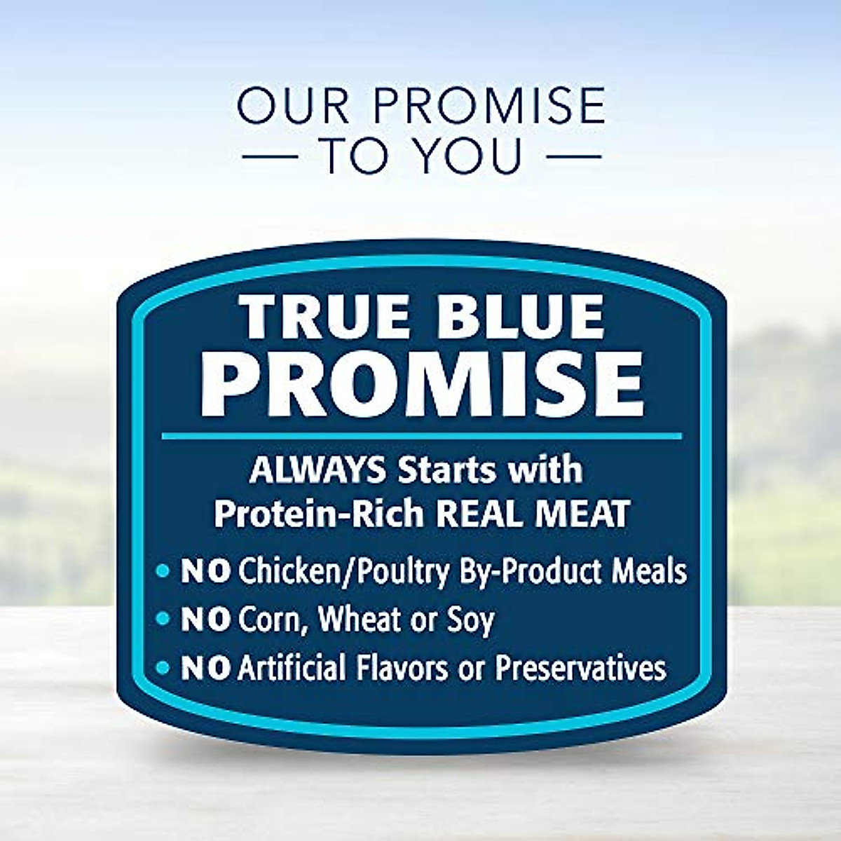 Blue Buffalo Delights Natural Adult Small Breed Wet Dog Food Cups, Pate Style, Grilled Chicken & Top Sirloin 3.5-oz (12 Pack- 6 of Each Flavor)