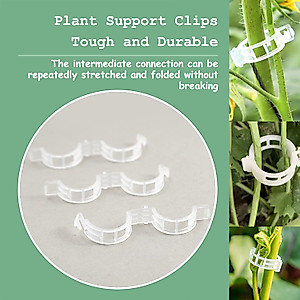 300 PCS Plant Support Clips,Garden Trellis Clips,Tomato Trellis Clips for Vine,Vegetables,Beans,Fruits,Rose to Grow Upright and Healthier