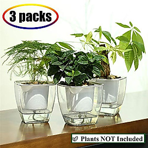 Self Watering Planter , FENGZHITAO African Violet Pots, Clear Plastic Automatic-Watering Planter Flower Pot Square Plant Pot for All House Plants, Succulents, Herb, African Violets (3 Packs Small)