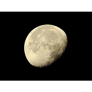 Nikon Coolpix P900 Super Zoom Camera - New