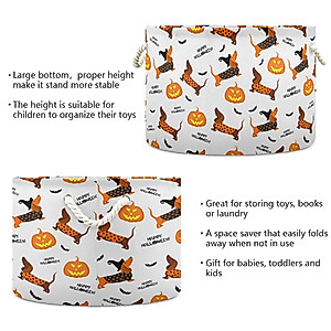 FJDENG Halloween Dachshund Cotton Rope Basket,Canvas Laundry Basket Foldable Toy Storage Basket for Bedroom,Closet Bathroom,Living room,Car Trunk