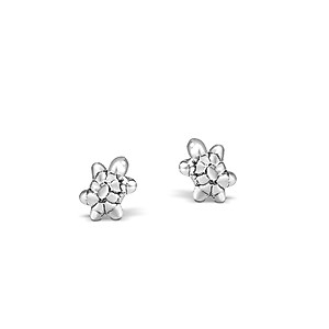AeraVida 22G A Pair of Adorable Turtles Sterling Silver Nose Ring | Classic Sterling Silver Stud Nose Ring for women | Animal Stud Nose Ring | Chic Stud Nose Ring