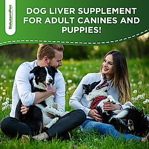 Milk Thistle for Dogs and Puppies | Liver Support for Dogs | Kidney Support for Dogs | Dog Liver Supplement | Herbal Composition Only | Attractive Bacon Flavor | 2 Oz