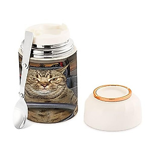 CUPADA Beige Cat Food Jar, Funny Insulated Hot Food Jars Vacuum 17OZ with Folding Spoon for Work Trip Picnic Camping